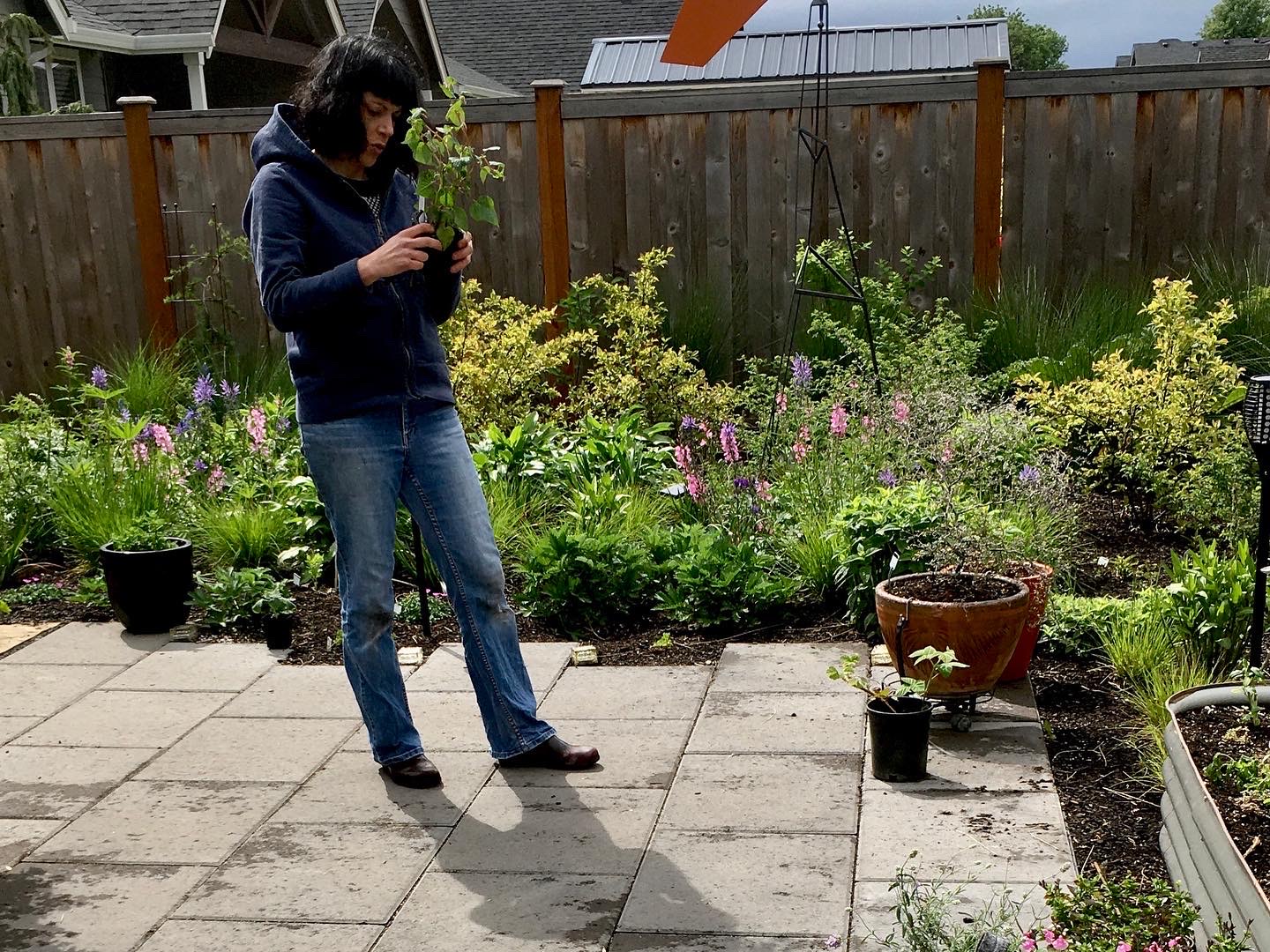 For the Love of Puttering - Whole GardensWhole Gardens