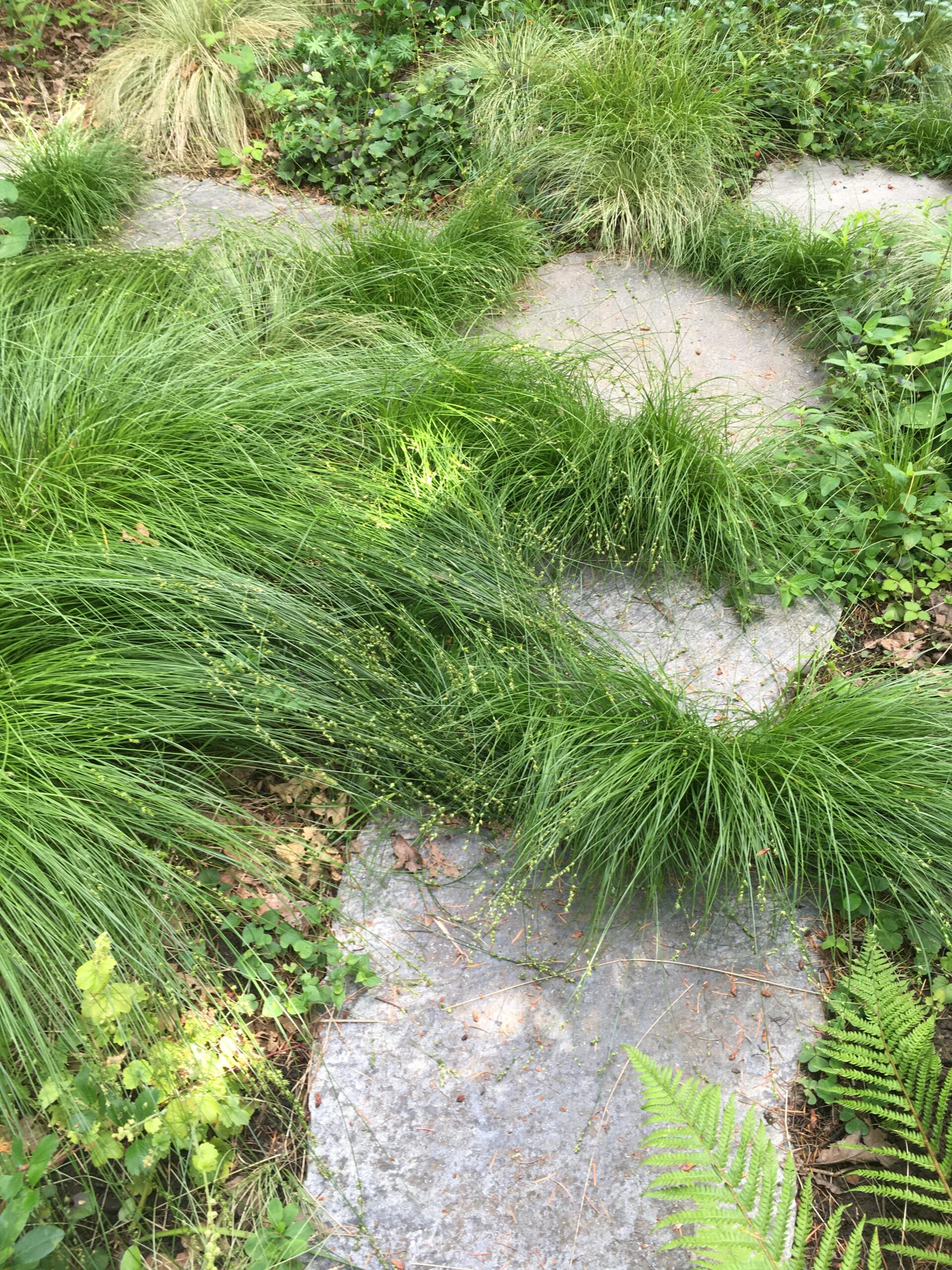 Tend the Edges - Whole GardensWhole Gardens